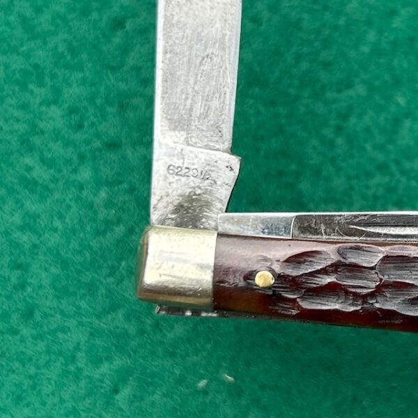 Case XX 1940-64 6229 1/2 Tadpole Knife Pretty Bone - Old Pocket Knives